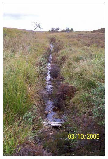 j10768b-11 | Transport Scotland